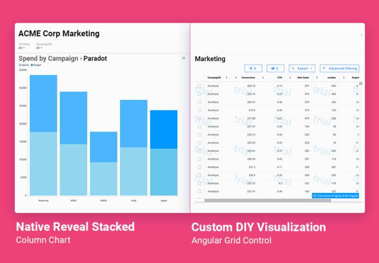 DIY Custom Visualizations With Reveal BI